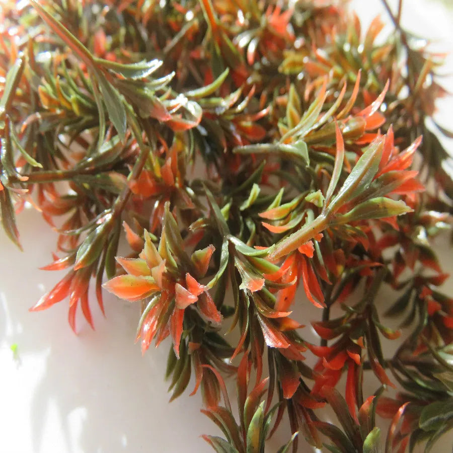 3cm 50PCS DIY Cottage Garden Model Flower Beds – Landscape Materials f ...